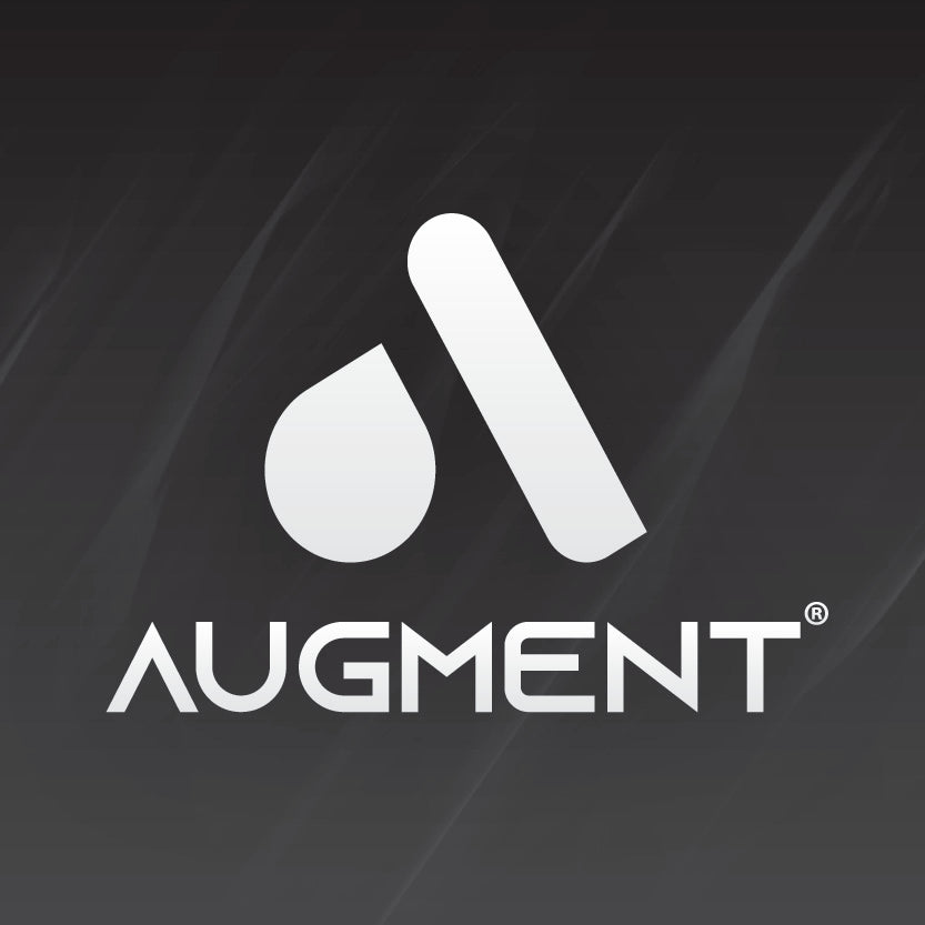 AUGMENT 2024